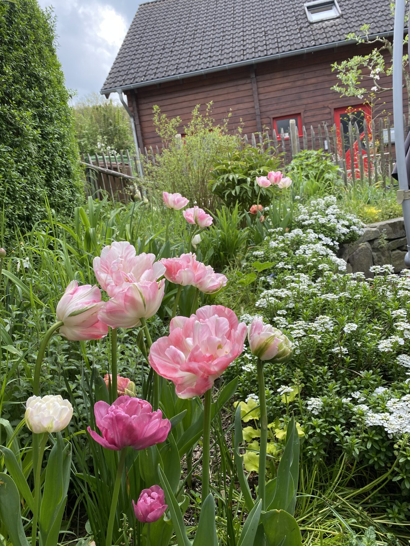 Mein Kleiner Garten